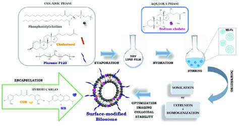 Scheme 1 Schematic Representation Of The Fabricated Functional
