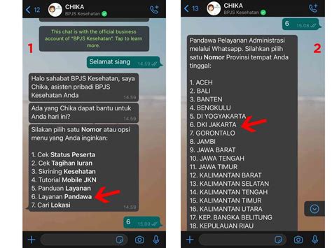 22 Cara Menggunakan Chika Bpjs Terkini Bpjs