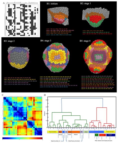 A Matrix Representing 32 Combinatorial Binary Expression Patterns Download Scientific