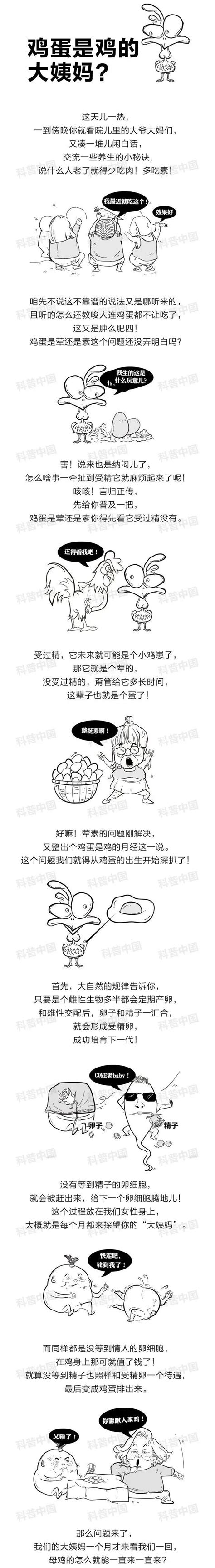 鸡蛋属于荤的还是素的？鸡蛋算是肉类吗？答案来了！ 达达搜