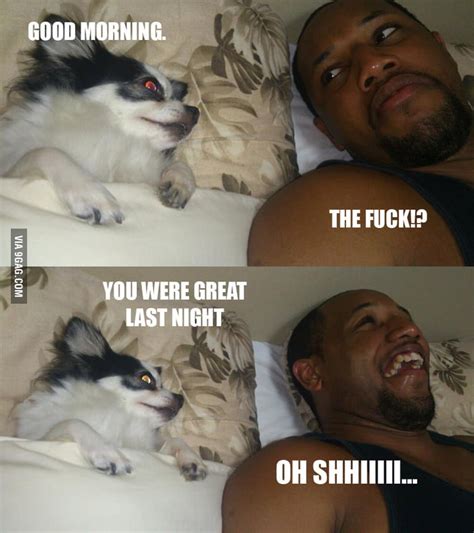 Doing It Doggy Style 9gag