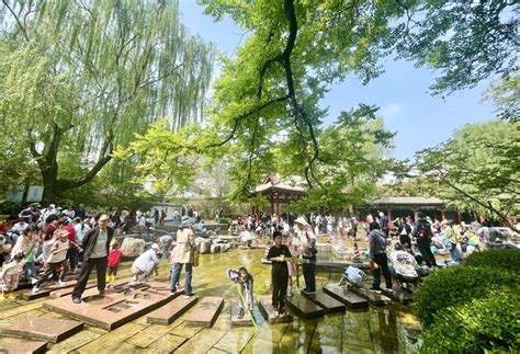 持续升温 亲泉戏水享清凉 济南社会 舜网新闻