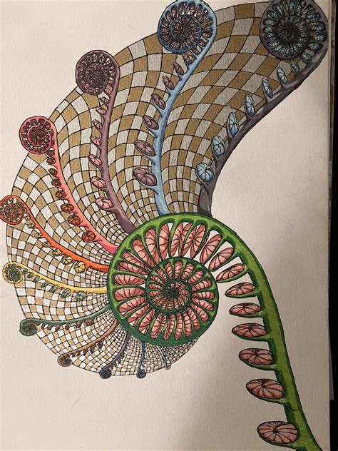 Heres Some Fibonacci Sequence Phi Spiral Art From Last Year R