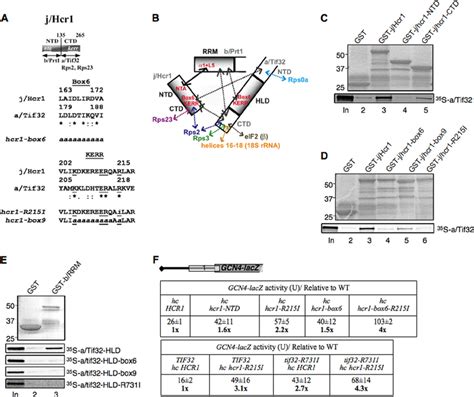 Effects Of Box6 And Kerr Substitutions In Jctd And Ahld On Binary