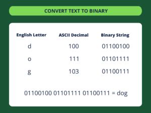 Text To Binary Code Converter ConvertBinary Com