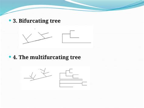 Phylogenetic Tree Introduction Mode Of Classification Ppt