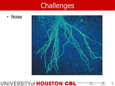Ppt Segmentation Of 3d Tubular Structures Powerpoint Presentation