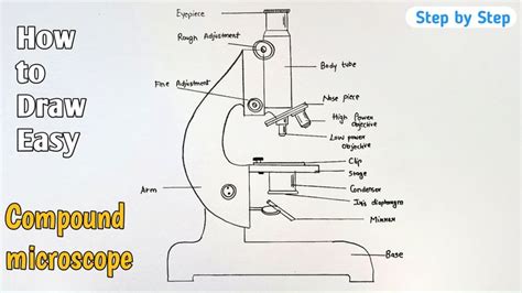 How To Draw Easy Compound Microscope Diagram