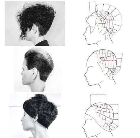 Pixie Haircut Diagram