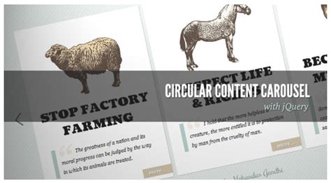top 8 jquery plugins for ecommerce sites learning jquery