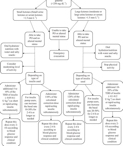 Algorithm For Management Of Hyperglycemia And Ketosis In The Download Scientific Diagram