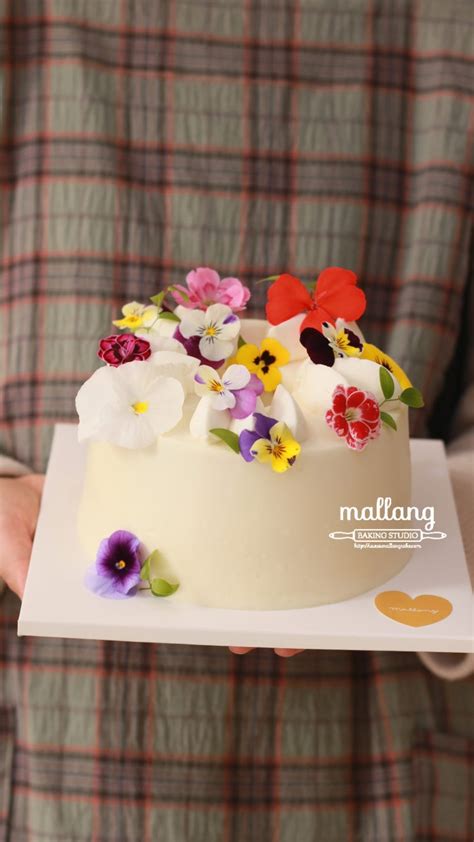 대구어버이날케이크 주문안내화과자케이크카네이션생화케이크플라워케이크대구식용꽃케이크달서구베이킹클래스말랑케이크어버이날케이크어버이날선물 네이버 블로그