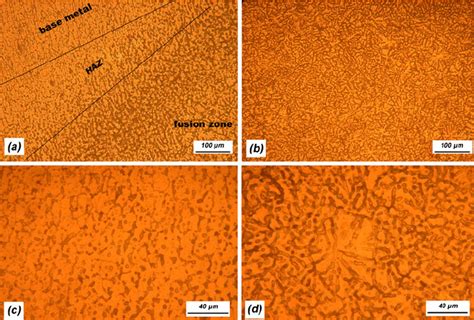 Microstructure Of Joint A Microstructure Near The Junction B Network