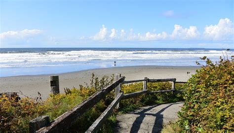 Tree Root Cave 2026 All You Must Know Before You Go W Reviews