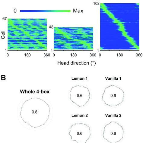 Homogeneous Distribution Of Directional Tuning And Behavior A