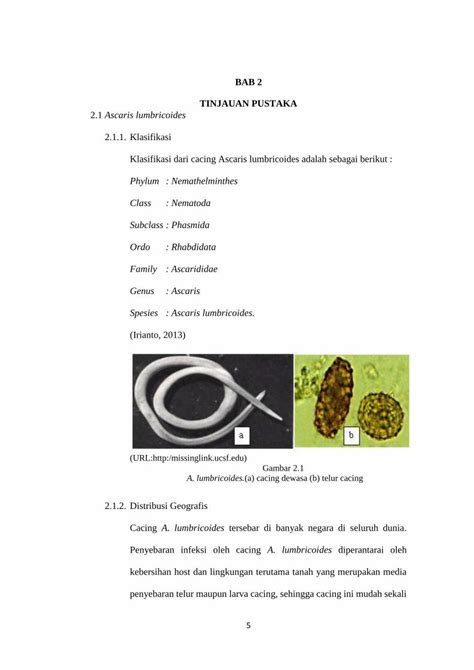 Pdf Bab 2 Tinjauan Pustaka Ascaris Lumbricoides Dokumen Tips