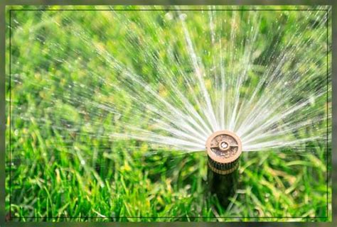 Importance Of Sprinkler System Al Ardh Alkhadra