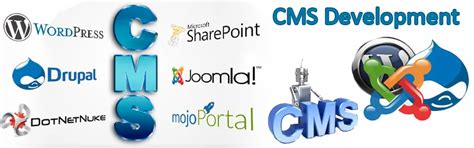 content management system development in new delhi hi tech institute