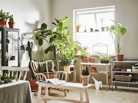 Фото Цветов Икеа – Telegraph