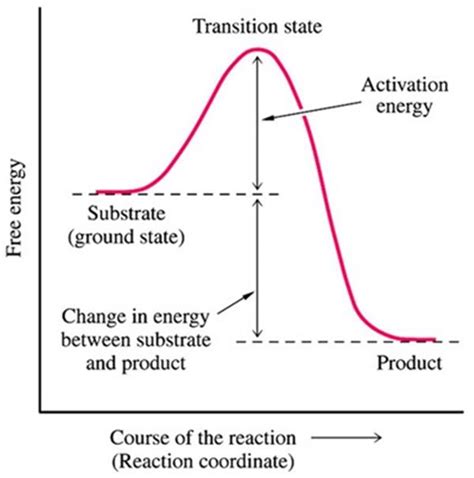 Energy Diagram Transition State