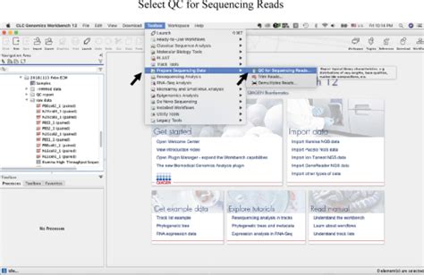 Analysis Of Rna Sequencing Data Using Clc Genomics Workbench Springer