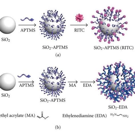 Pdf Quantitative Analysis And Efficient Surface Modification Of