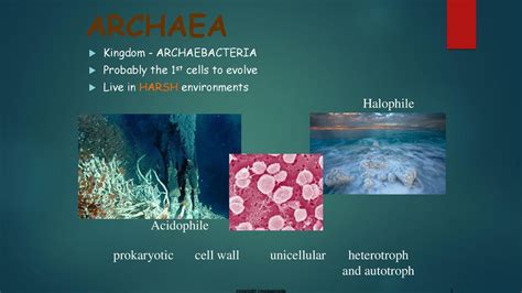 Copyright Cmassengale Ppt Download