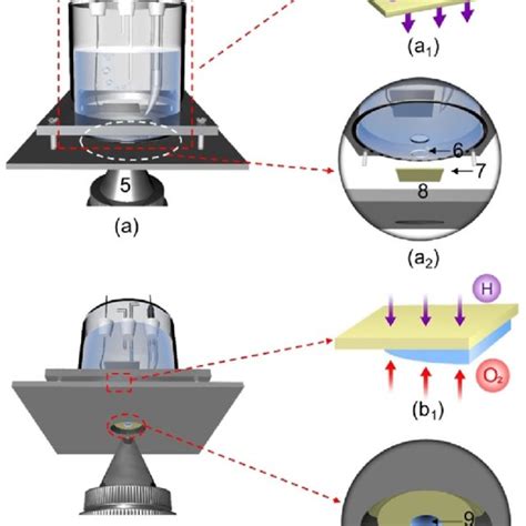 Raman And Photoluminescence Pl Measurements Of Ws2mos2 In Plane