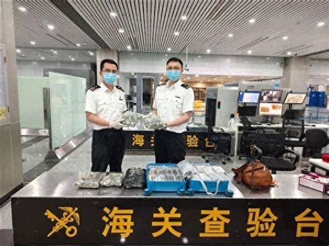 海关查获35 27公斤洋垃圾大量废旧手机摄像头屏幕等零件 进口 行李 旅客
