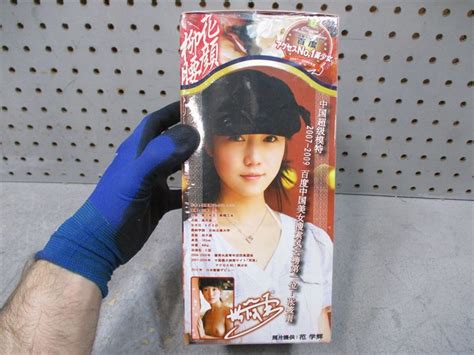 Chinese Model Zhang Xiao Yu Toy Maxx Liquidation Marketplace And Online Auctions