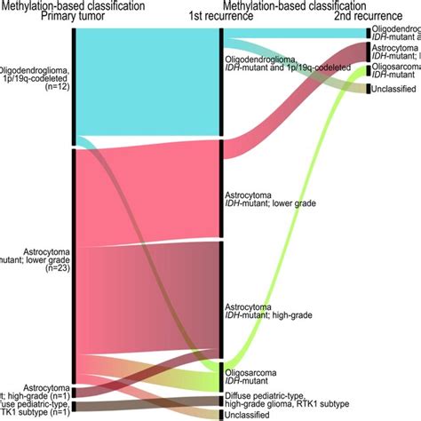 Diagnostics By Dna Methylation Profiling Reflect Tumor Progression Download Scientific Diagram