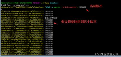 git 获取指定历史版本代码，并拉取下来（超详细） git获取上个版本的单个文件 csdn博客
