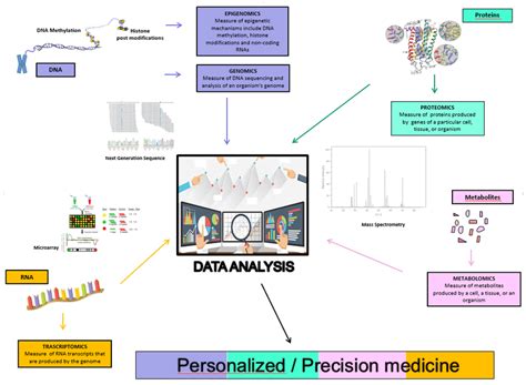 A Systems Biology Approach From Omics Science To Precision Medicine
