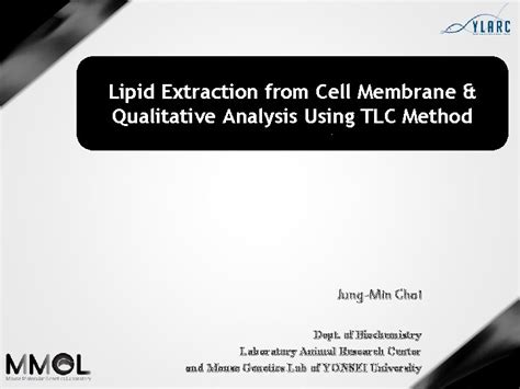 Lipid Extraction From Cell Membrane Qualitative Analysis Using