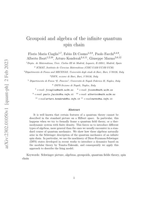 Pdf Groupoid And Algebra Of The Infinite Quantum Spin Chain