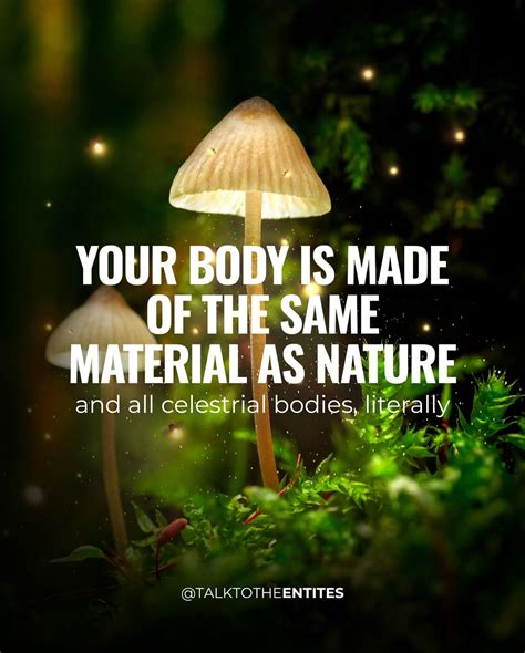 Talk To The Entities