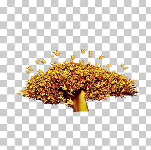 Tree Computer File PNG Clipart Autumn Tree Branch Christmas Tree Computer File Computer