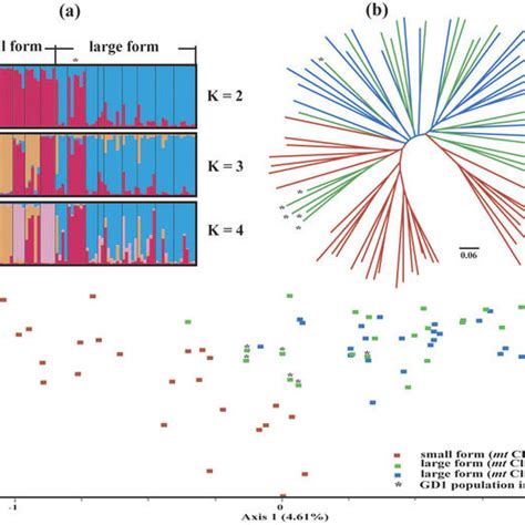 Individual Clustering Based On The Analysis Of Microsatellite Data Download Scientific