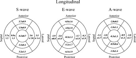 Longitudinal Velocity Component Cms Mean Values ± Sd Download