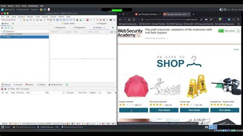 Résolution De Lab File Path Traversal Validation Of File Extension