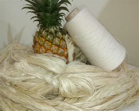 Pineapple Leaf Fiber Properties At Ricky Payne Blog
