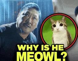 Where Did The ‘why Is He Lying Meme Come From The Viral Wong