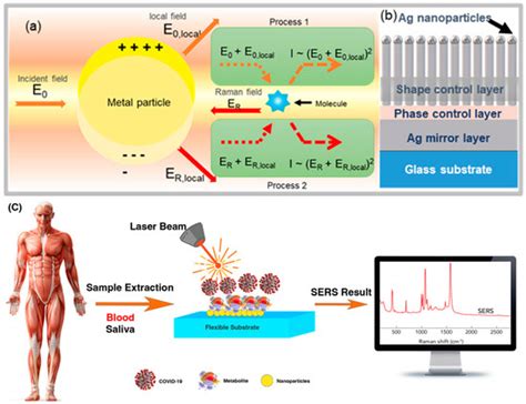 Biosensors Special Issue Plasmonic Sensors A New Frontier In Nanotechnology