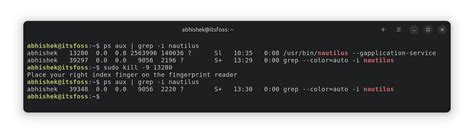 How To Find The Process Id Of A Program And Kill It In Linux