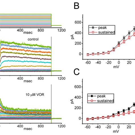 Mean Current Voltage I V Relationship Of The Peak And Sustained Download Scientific Diagram