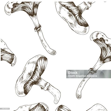 윤곽선 스타일 손으로 그린 가을 곰팡이 배경 공예 포장 계절 레스토랑 메뉴 태그 식물 책 디자인에 대한 에코 식품의 조각 스타일에 숲 버섯 완벽 한 패턴 10월에 대한 스톡