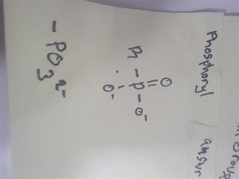 Draw Structure Of The Six Most Common Functional Groups In BioChemistry Flashcards Quizlet