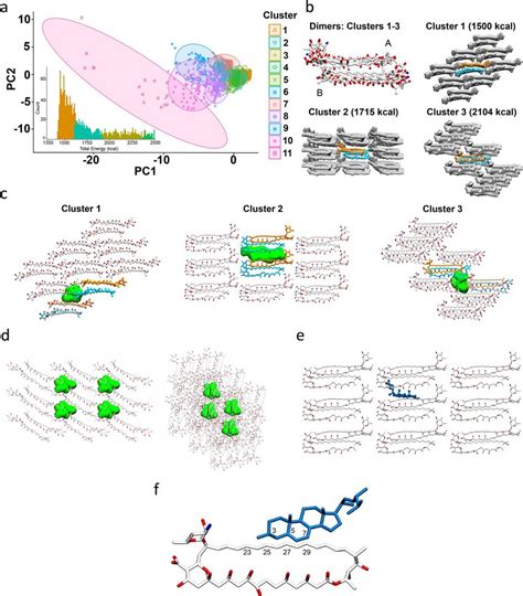 Amb Cluster Analysis And Erg Docking A Principal Component Analysis Download Scientific
