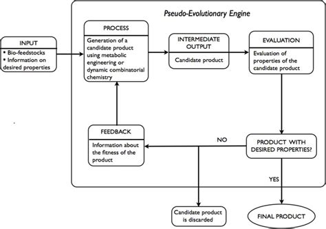 Schematic Representation Of Evolution Based Approach Download Scientific Diagram
