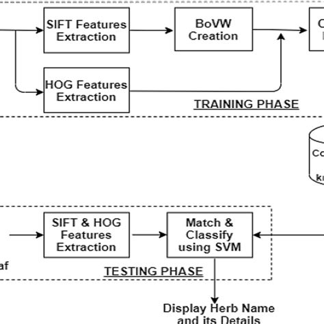 Proposed Machine Learning Model Download Scientific Diagram